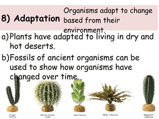 Characteristics of living things | PPT