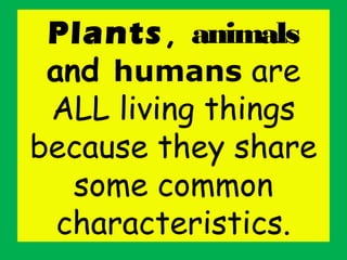 Characteristics of living things | PPT