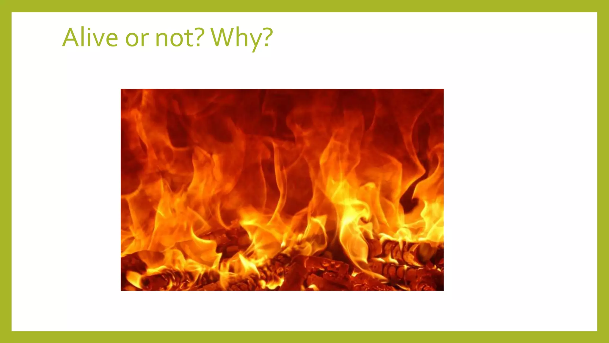 Characteristics of living things | PPTX