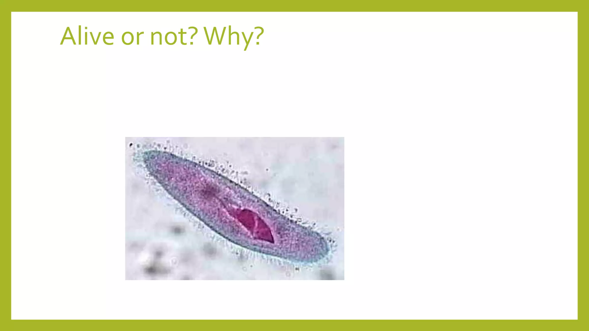 Characteristics of living things | PPTX