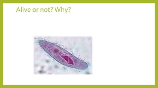 Characteristics of living things | PPTX