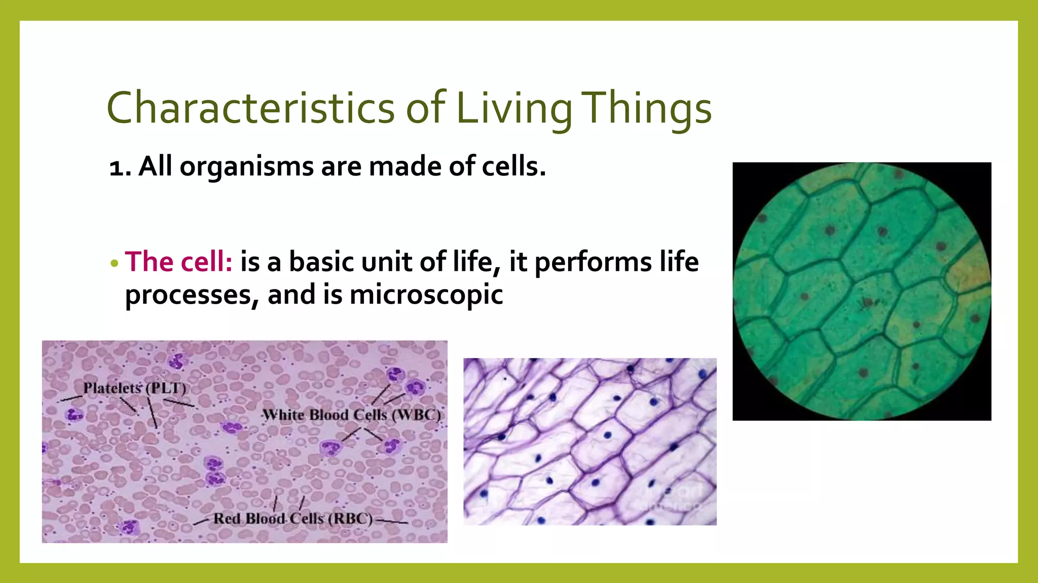 Characteristics of living things | PPTX | Biological Sciences | Science
