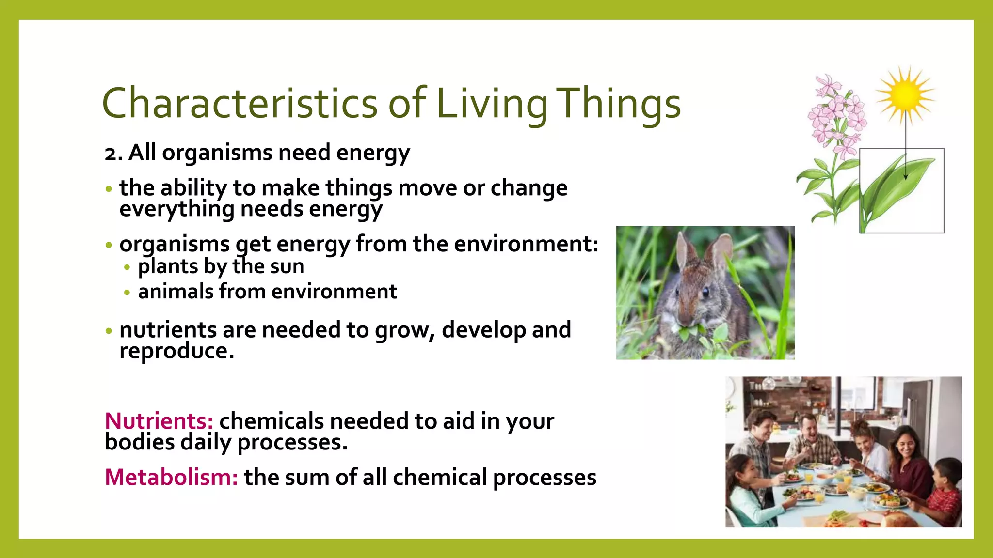 Characteristics of living things | PPTX | Biological Sciences | Science