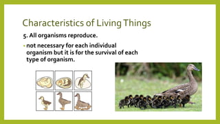 Characteristics of living things | PPTX | Biological Sciences | Science