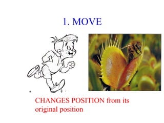 Characteristics of Living Things.pdf