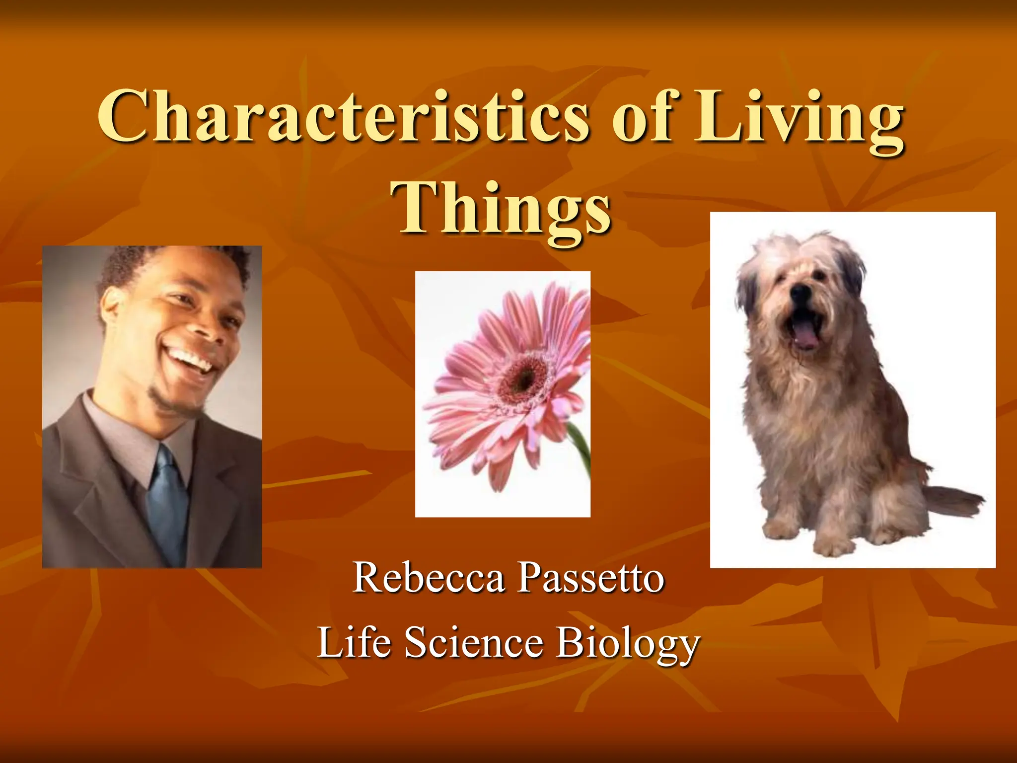 Characteristics_of_Living_Things presentation | PPT
