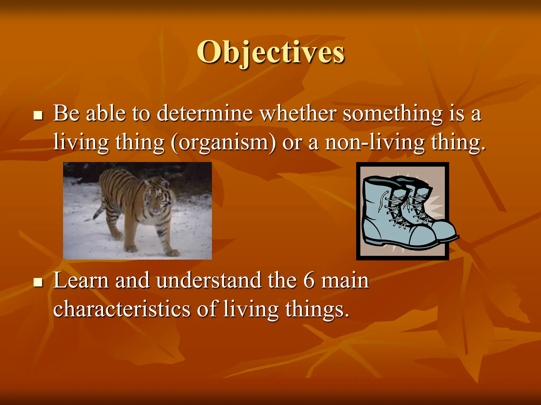 Characteristics_of_Living_Things presentation | PPT