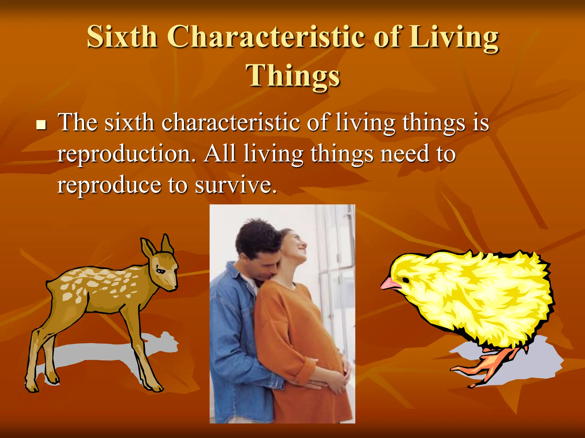 Characteristics_of_Living_Things presentation | PPT