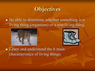 Characteristics_of_Living_Things presentation | PPT