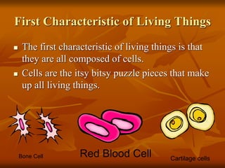 Characteristics_of_Living_Things presentation | PPT