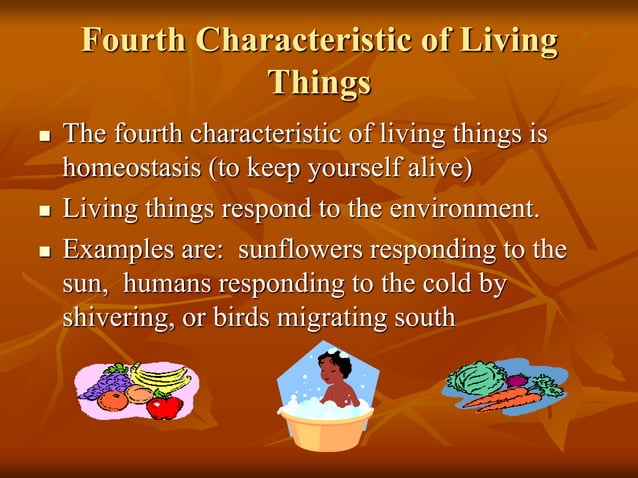 Characteristics_of_Living_Things presentation | PPT