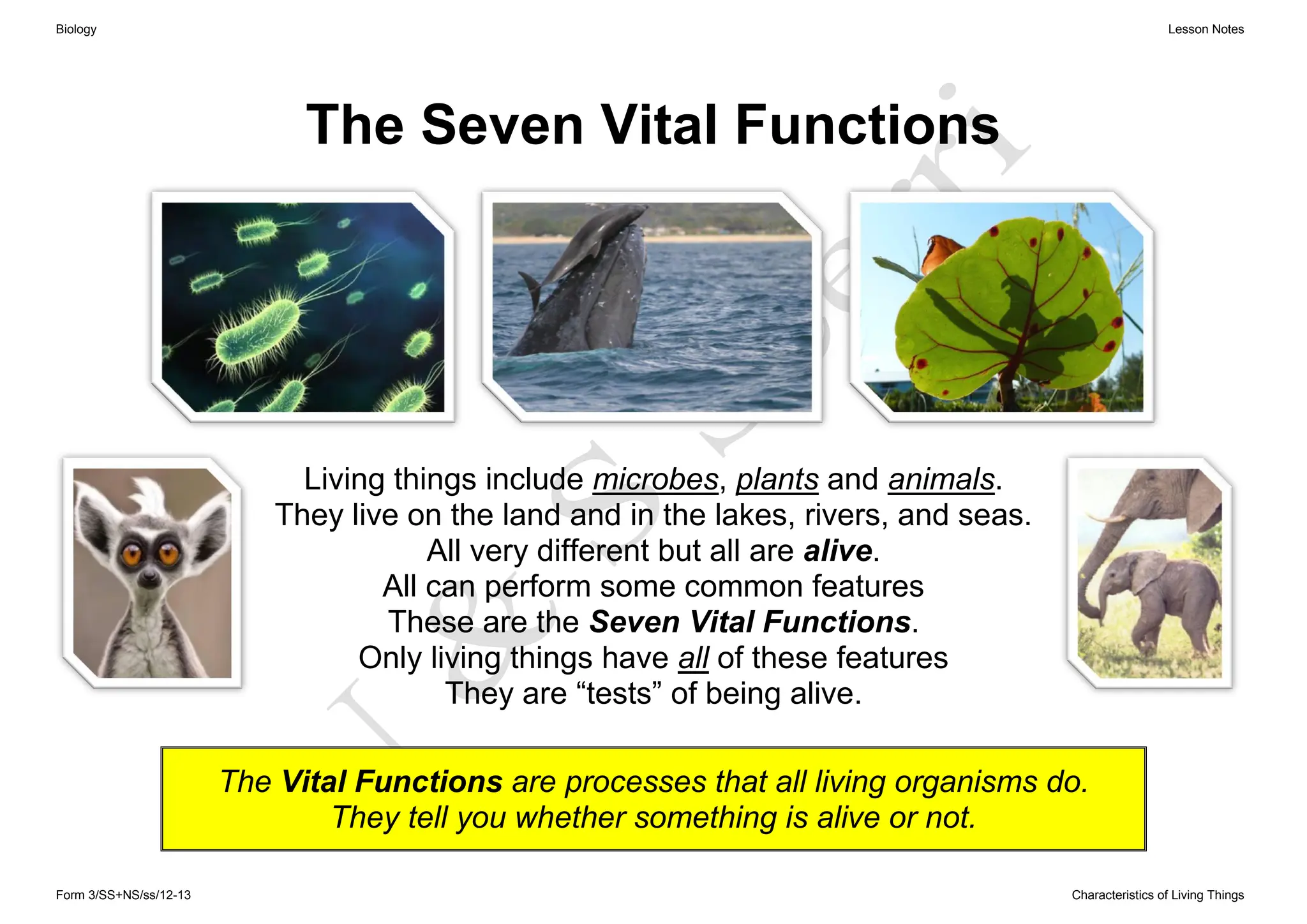 Characteristics of Living Things Notes.pdf