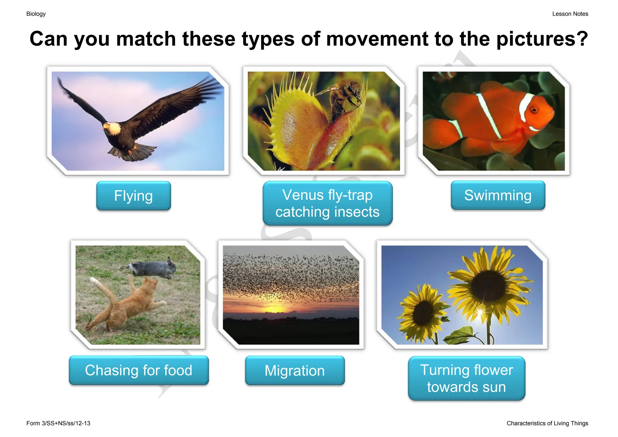 Characteristics of Living Things Notes.pdf