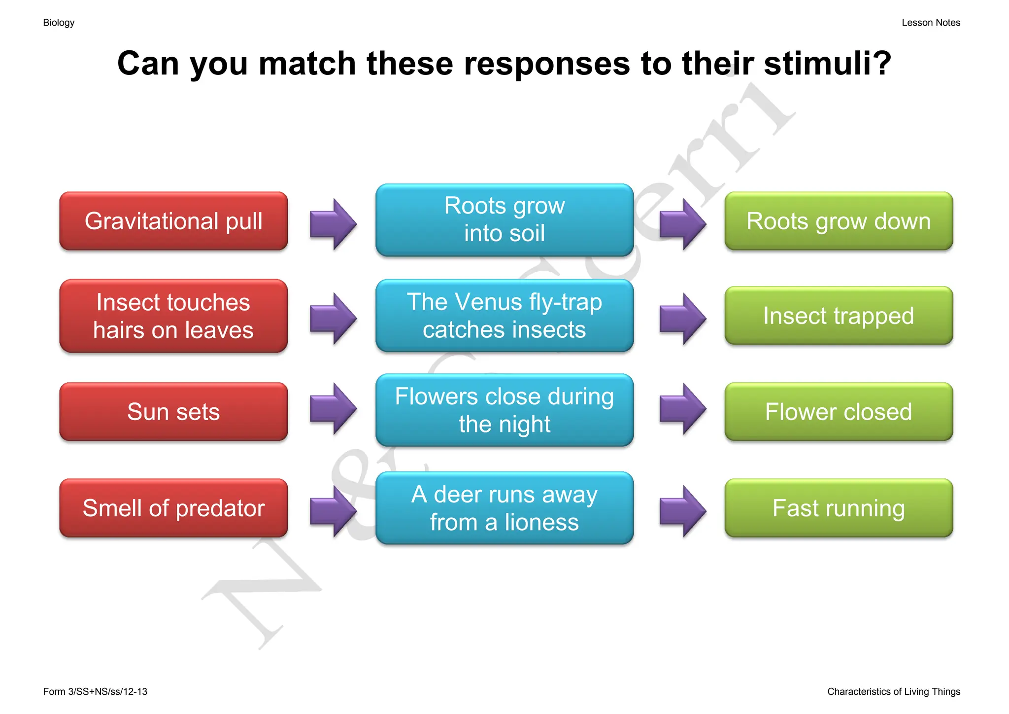 Characteristics of Living Things Notes.pdf