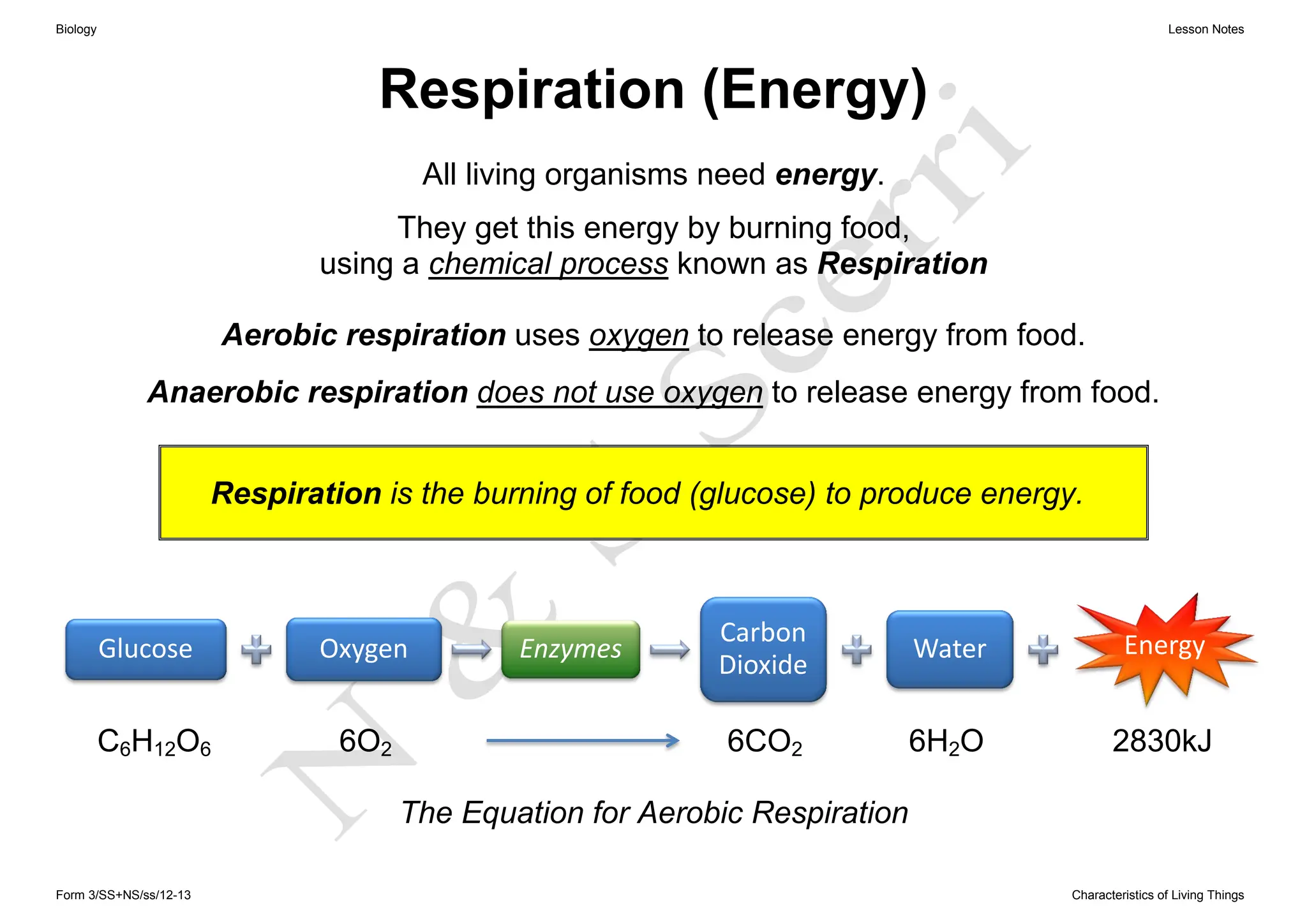 Characteristics of Living Things Notes.pdf