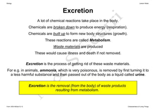 Characteristics of Living Things Notes.pdf