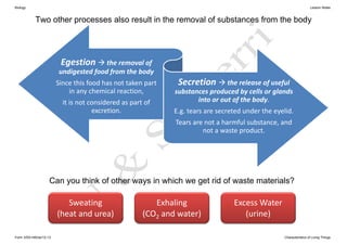 Characteristics of Living Things Notes.pdf