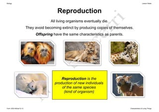 Characteristics of Living Things Notes.pdf