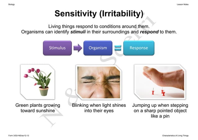 Characteristics of Living Things Notes.pdf | Lung and Respiratory ...