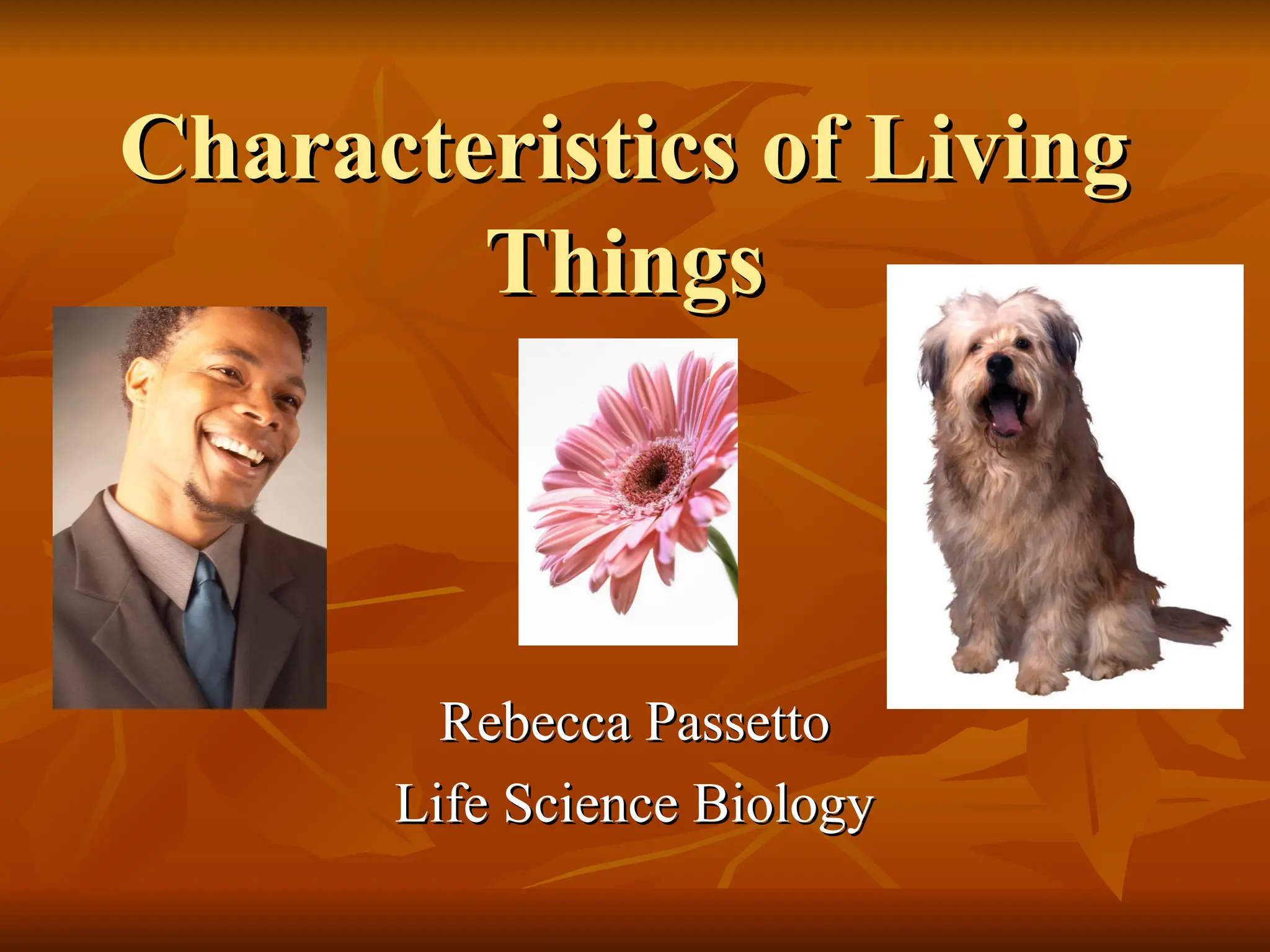Characteristics of Living Things With their meaning | PPT