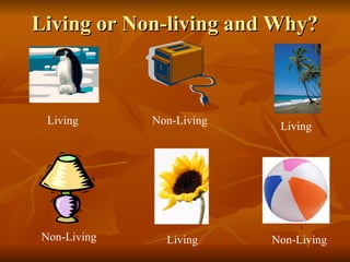 Characteristics of Living Things With their meaning | PPT
