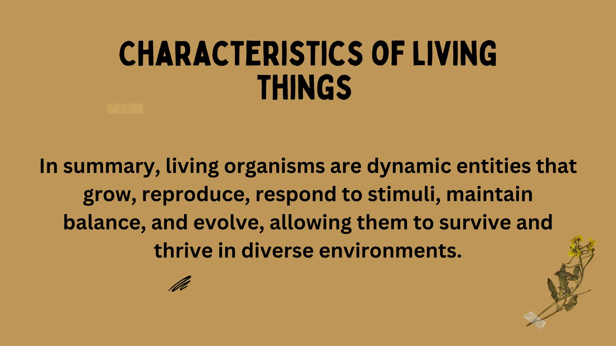 characteristics of living things. earth and life.pdf