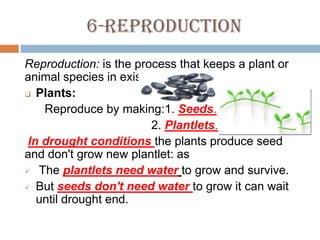 Characteristics of living things (final) | PPT