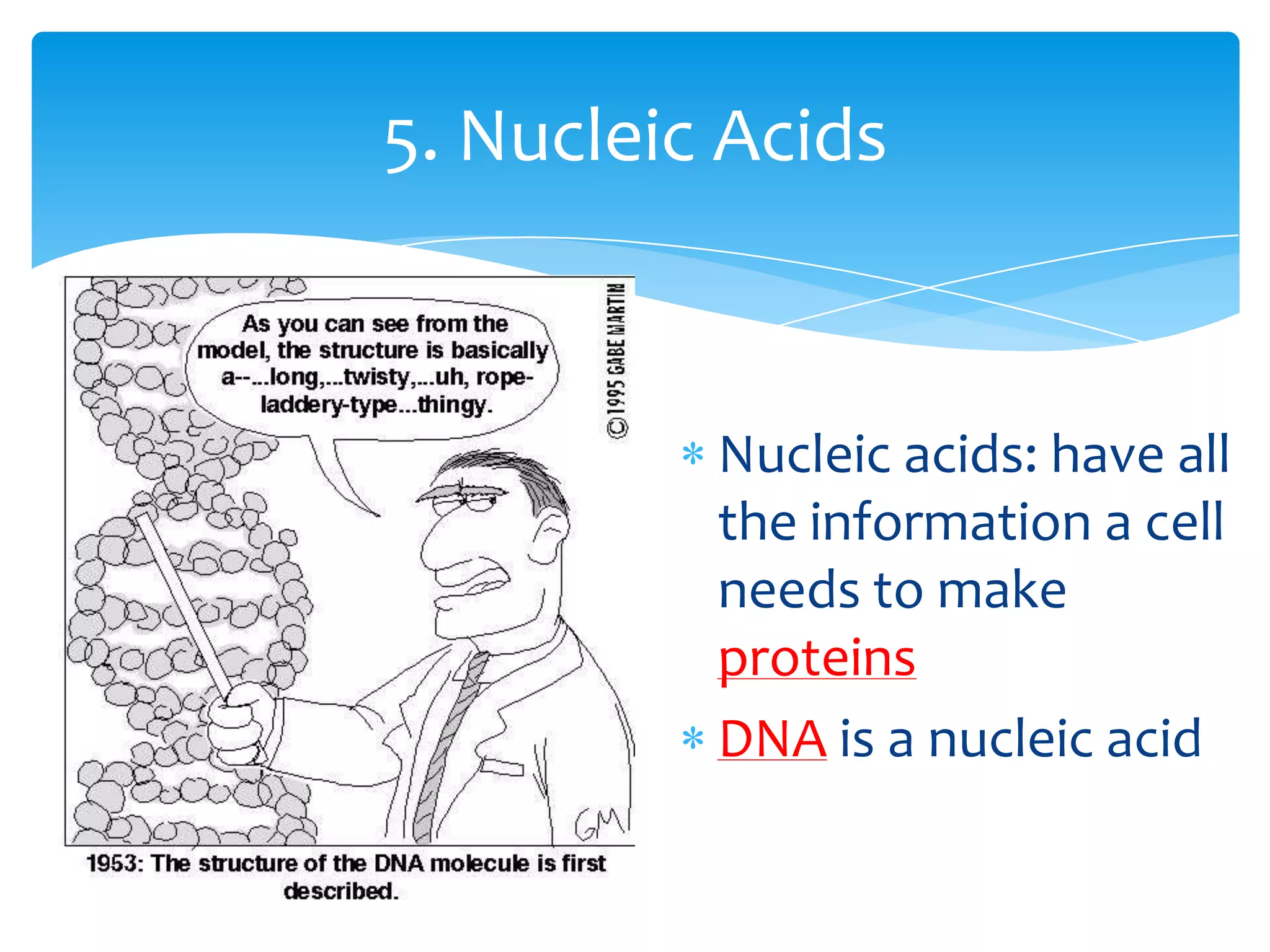 Characteristics of Living Things Notes | PPTX