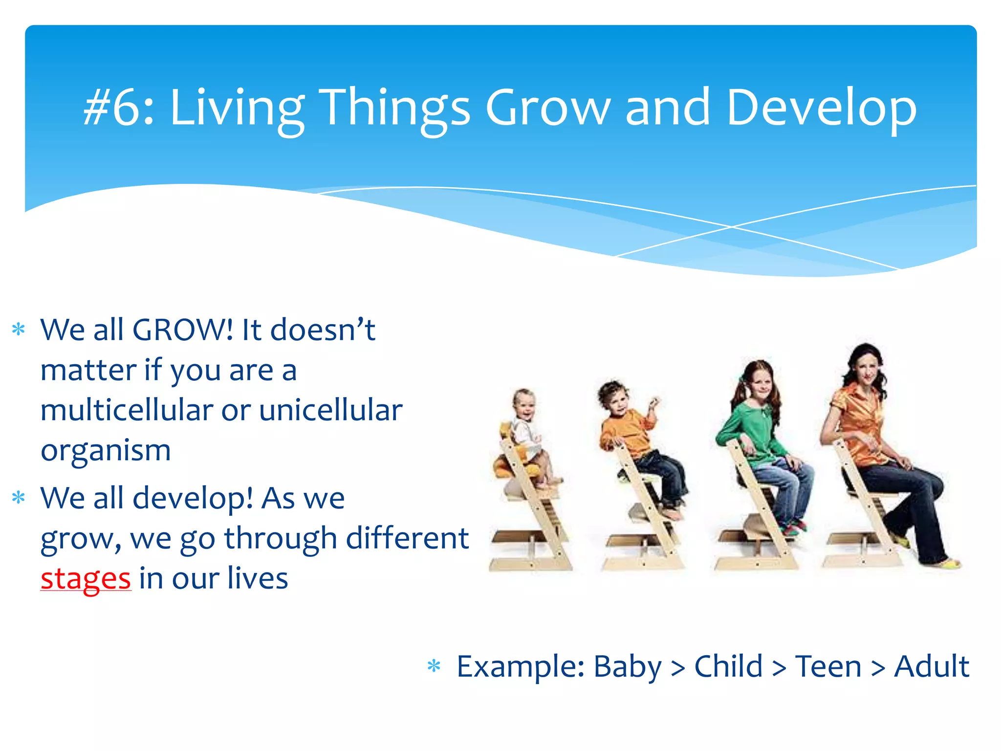 Characteristics of Living Things Notes | PPTX