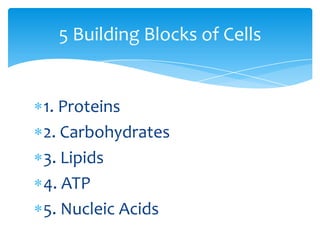 Characteristics of Living Things Notes | PPTX