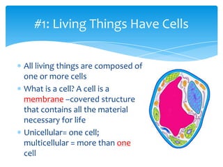 Characteristics of Living Things Notes | PPTX