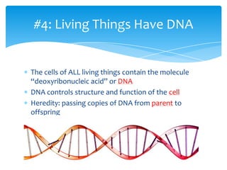 Characteristics of Living Things Notes | PPTX