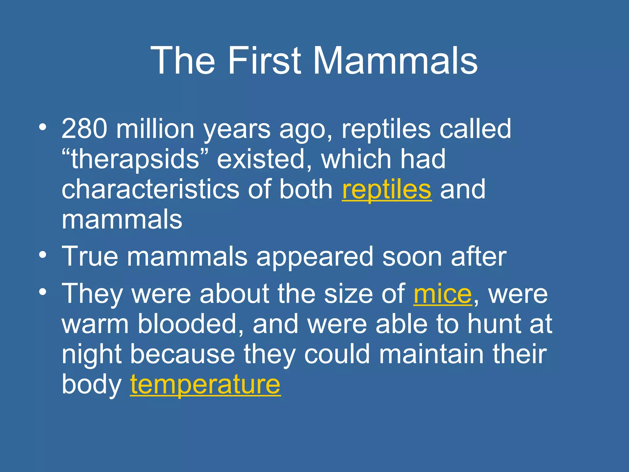 Characteristics of mammals | PPT