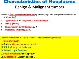 Characteristics of neoplasms | PPT