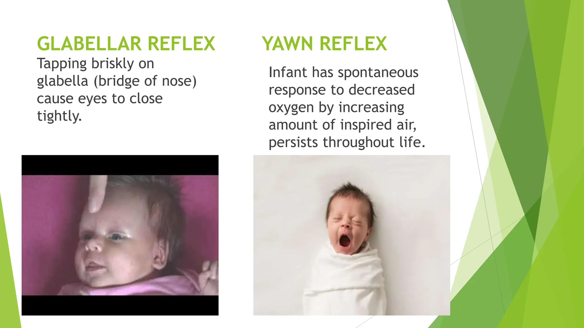 Characteristics of new normal newborn-1.pptx