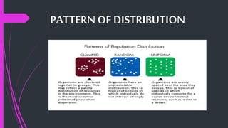 Characteristics of Population | PPTX