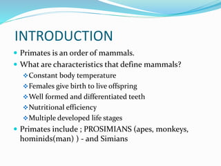 Characteristics of primates | PPTX