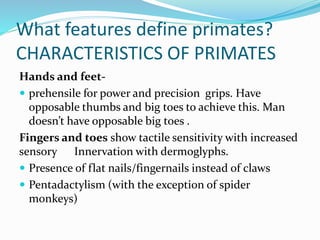 Characteristics of primates | PPTX