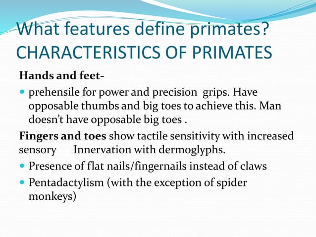 Characteristics of primates | PPTX