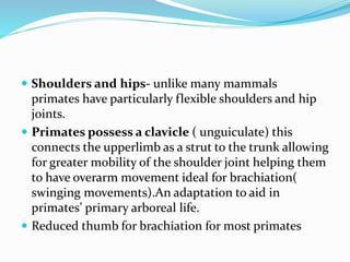Characteristics of primates | PPTX