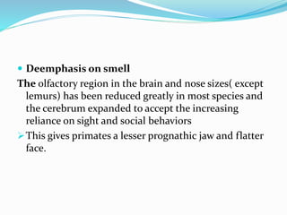 Characteristics of primates | PPTX