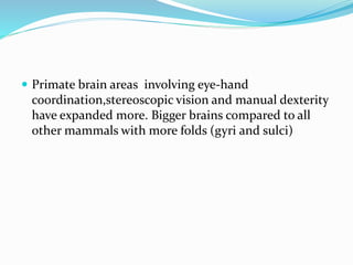 Characteristics of primates | PPTX