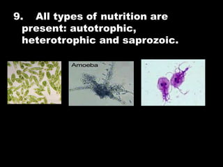 Characteristics of protozoa | PPTX