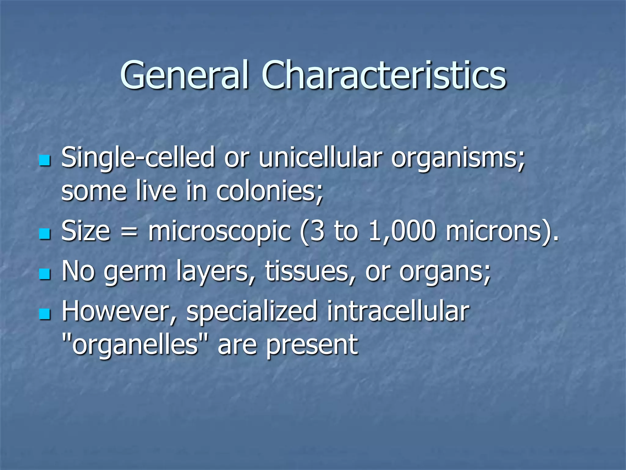 Characteristics of protozoa | PPT