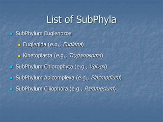 Characteristics of protozoa | PPT