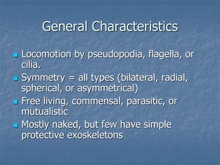 Characteristics of protozoa | PPT