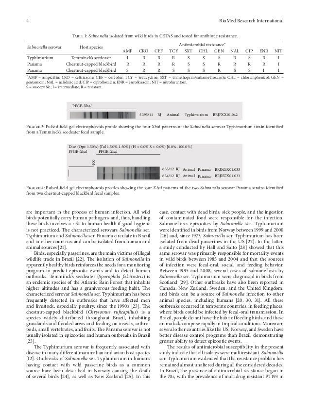 Characteristics of salmonella spp. isolated from wild birds confiscat…