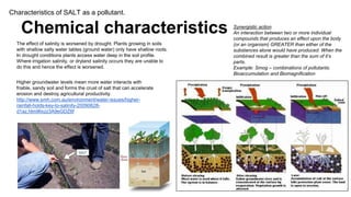 Characteristics of salt as a pollutant | PPT