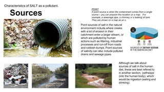 Characteristics of salt as a pollutant | PPT