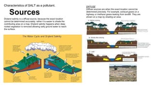 Characteristics of salt as a pollutant | PPT